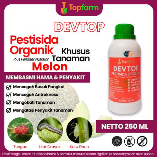 Jual Obat Hama Melon / Obat Kutu Daun Melon / Obat Lalat Buah Melon ...