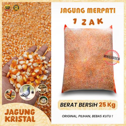 Jual PAKAN BURUNG JAGUNG KRISTAL ZAK 25KG jagul pipil unyil pakan ayam ...
