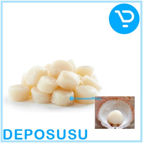 Jual SCALLOP 40-60, 500gr (Fresh Frozen Food) - Jakarta Barat ...