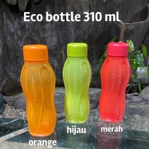 Jual Botol minum anak anti tumpah Tupperware Eco Bottle 310 ml - Purple ...