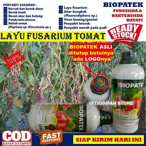Jual BIOPATEK 500ML Fungisida Hayati Obat Hama Mengatasi Layu Fusarium ...