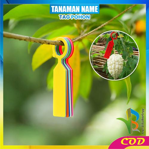 Jual RB-C1164 Plant Label Name Tag Label Penanda Tanaman Hanging Ring ...