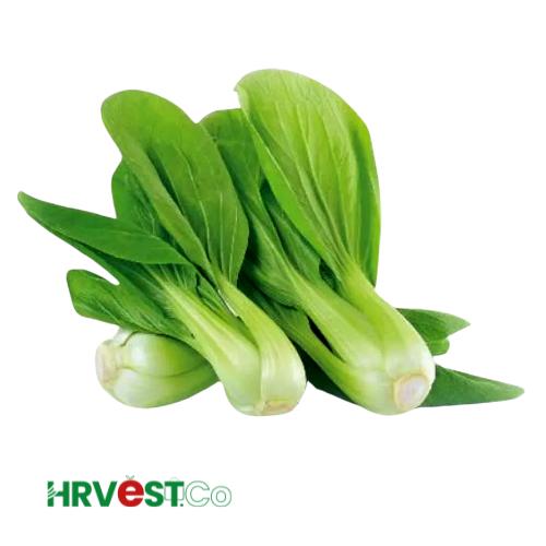 Jual Pakcoy Segar - Sayuran Hijau Penuh Nutrisi Murah 1 Kg - Kab ...
