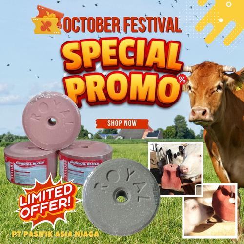 Jual PROMO 3Kg Mineral Blok ROYAL-Impor dari TURKI utk Sapi,Kambing ...