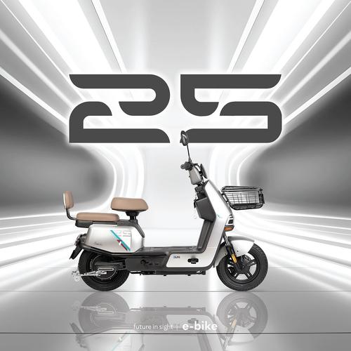 Jual SEPEDA LISTRIK ION TWENTY FIVE - Hitam - Kota Pekanbaru - YAKIN ...