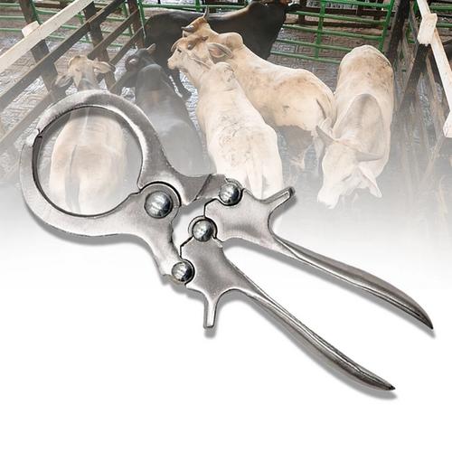 Jual Alat Kastrasi Hewan Less Bleeding Untuk Sapi Domba Tang Kastrasi ...