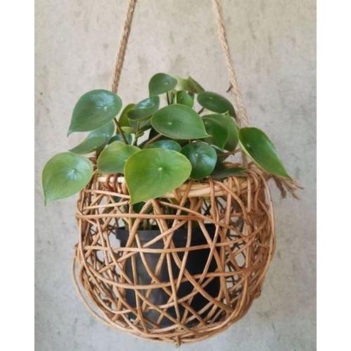 Jual Pot vas gantung rotan/cover pot bunga tanaman model jaring/ rattan ...