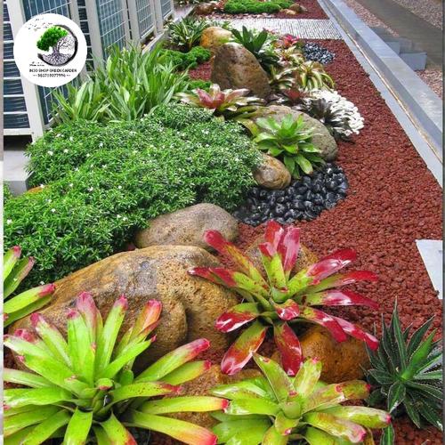 Promo TAMAN KERING MINIMALIS INDOOR SIMPLE / TAMAN INDOOR MINIMALIS ...