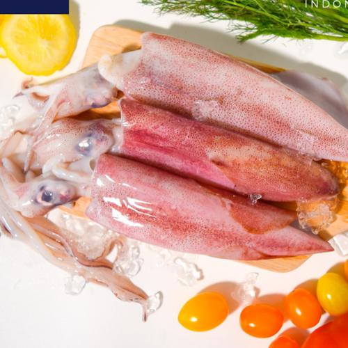 Promo CUMI TERLENGKAP / SOTONG SEGAR FRESH FROZEN PREMIUM Laut - CUMI ...