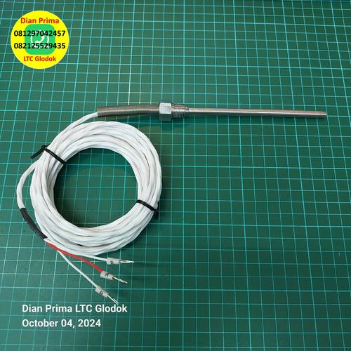 Jual RTD PT100 Ohm 3 wires tube dia 0,25" L127mm Conn 1/4" NPT Teflon 5 ...
