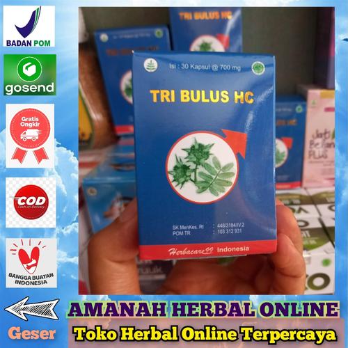 Promo Tribulus HC, Tri Bulus Terrestris 700mg, Resmi BPOM, Stamina Pria ...
