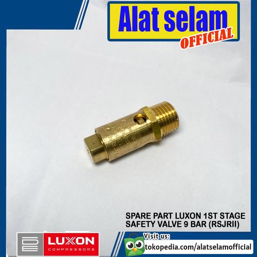 Jual Spare Part Luxon RSJRII 1st Stage Safety Valve 9 Bar Compressor ...