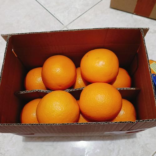 Jual Buah Segar Jeruk Sunkis Ibaza fruitsBOX - Kota Semarang ...