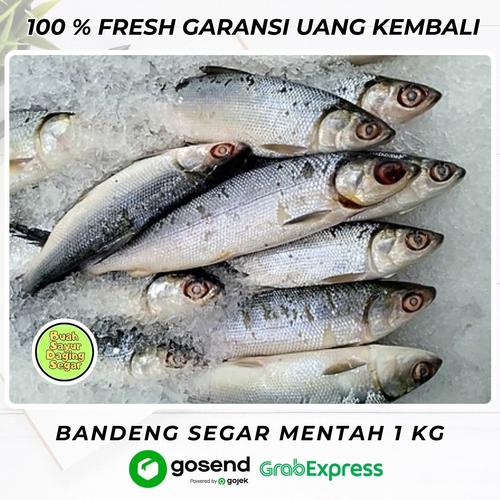 Jual ikan bandeng mentah segar 1kg - Jakarta Utara - Pasti Gampang Cuan ...