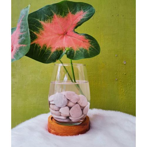 Jual Vas Bunga Kaca Minimalis Sepaket Tatakan dan Batu Hias / Vas Kaca ...
