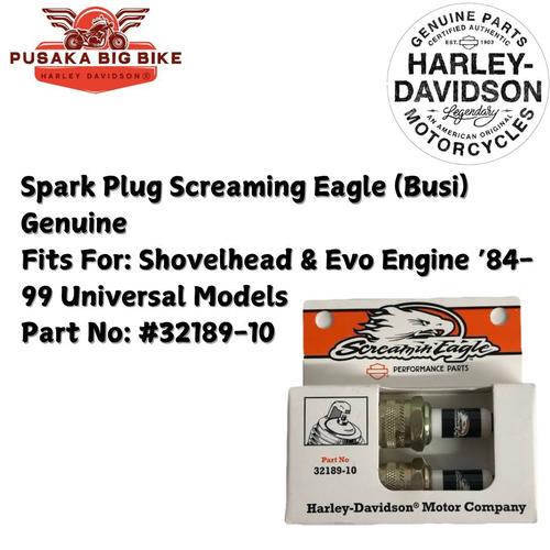 Jual busi Spark Plugs Harley Screamin Eagle Evo - Jakarta Selatan ...