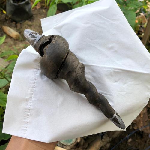 Jual Cemeti Kuno Kayu Putar Penunduk Asli Peninggalan Tetua Adat ...