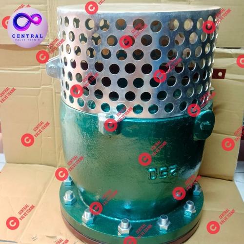 Jual Foot Valve MIZU 8" Inch Cast Iron Jis 10K Flange DN200 - Jakarta ...