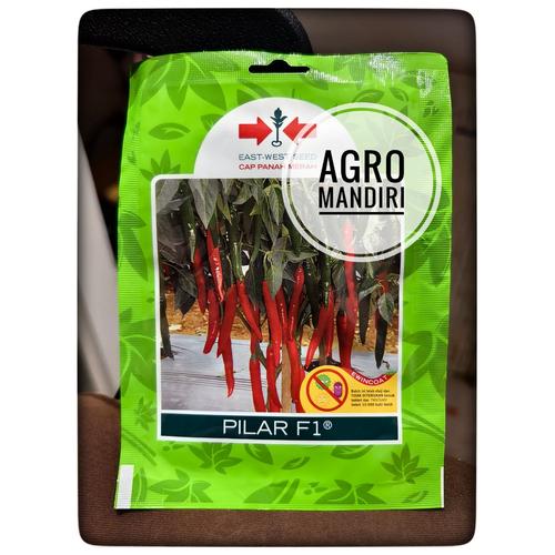 Jual Benih Bibit Cabai / Cabe Besar PILAR F1 isi 125 Butir Kemasan ...