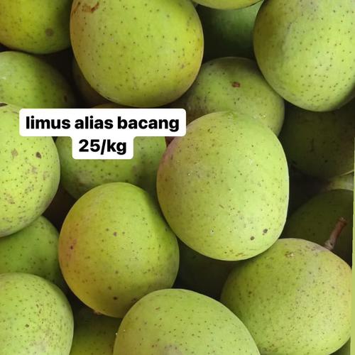 Jual buah mangga limus // mangga bacang - Kota Bandung ...