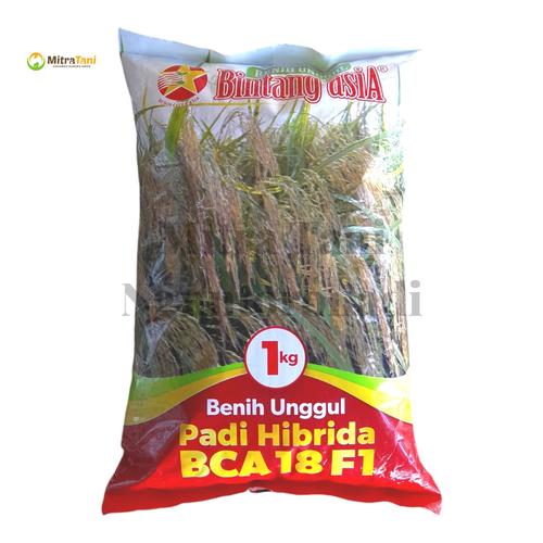 Jual Benih Padi Hibrida BCA 18 F1 Cap Bintang Asia 1Kg - Kab. Wonogiri ...