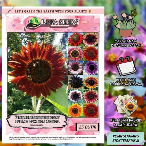 Jual 1 Pack (25 Butir) Benih Bunga Matahari Raksasa Ex Giant Sun Mix 13 ...