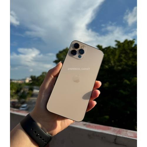 Jual IPHONE 12 PRO GOLD 512GB CAKEP MULUS LIKE NEW | 100% ORIGINAL ...