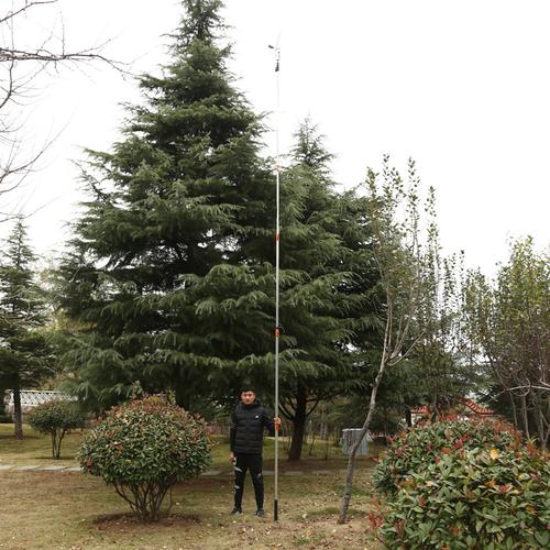 Jual PCK-17 Alat Pemotong Dahan Ranting Pohon Mangga Rambutan Tree ...