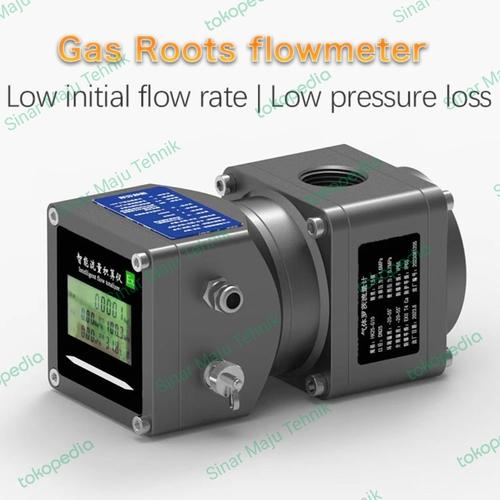 Jual Inteligent Smart Methane Natural Gas Digital LPG Flow Meter Waist ...