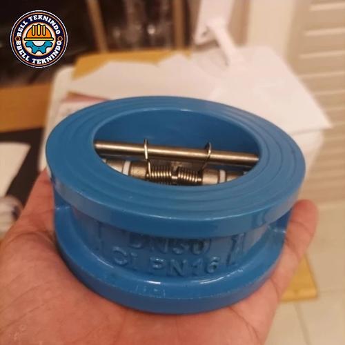 Jual Tozen Wafer Check Valve Cast iron PN16 10" Inch / Tozen double ...