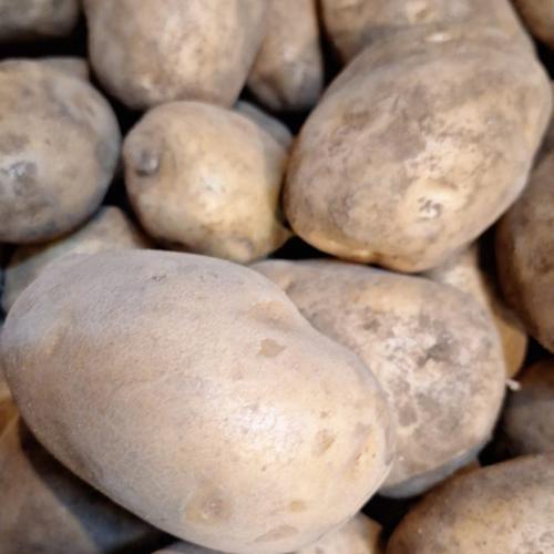Jual kentang Dieng super 1kg kentang fresh - Kota Bekasi - sarifresh ...