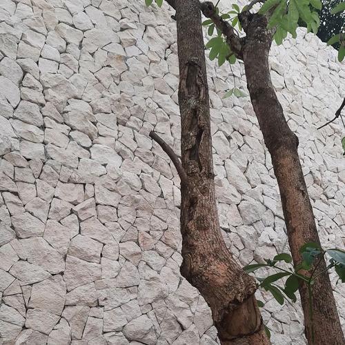 Jual Batu Limestone batu kapur tempel dinding Ala Bali - Kab. Bandung ...