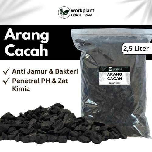 Jual Arang Kayu Cacah Kecil - Media Tanam Tanaman Hias Anggrek Premium ...