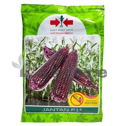 Promo Pilihan Terbaik! Panah Merah - Benih Jagung Pulut Jantan F1 Isi ...