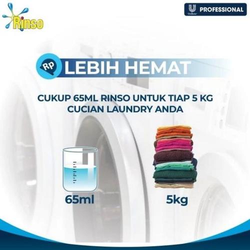 Jual RINSO MATIC PROFESSIONAL - DETERGENT DETERJEN SABUN CUCI CAIR ...