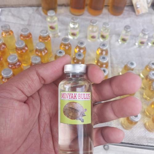 Jual Minyak Bulus Putih Asli Kalimantan Ukuran 30 Ml Untuk Kesehatan ...