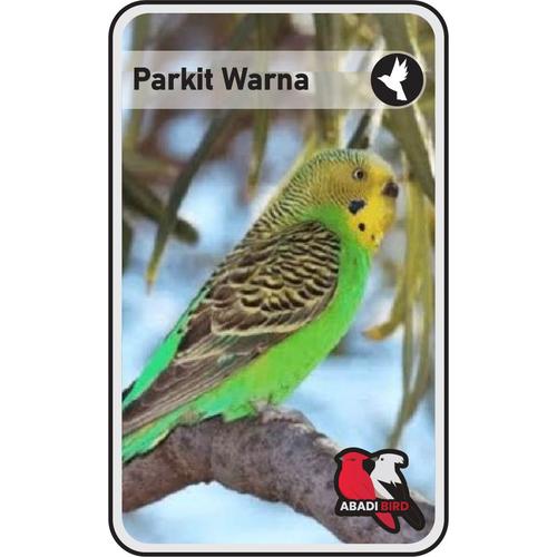 Jual BURUNG PARKIT WARNA BANDUNG - Kota Bandung - Abadi Bird Bandung ...