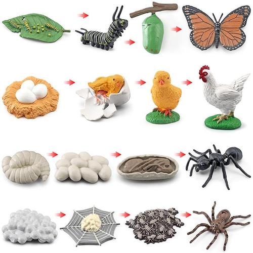 Jual Mainan Binatang Edukasi Anak TK SD Hewan Belajar Mengenal ...