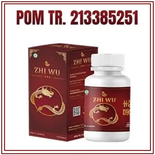 Jual ZHIWU ZHI WU Obat Asam Urat Rematik Otot Nyeri Sendi isi 30 Kapsul ...