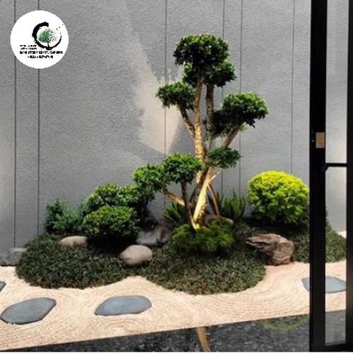 Jual TAMAN KERING INDOOR MINIMALIS MODEL DESAIN STYLE ZEN GARDEN/TAMAN ...