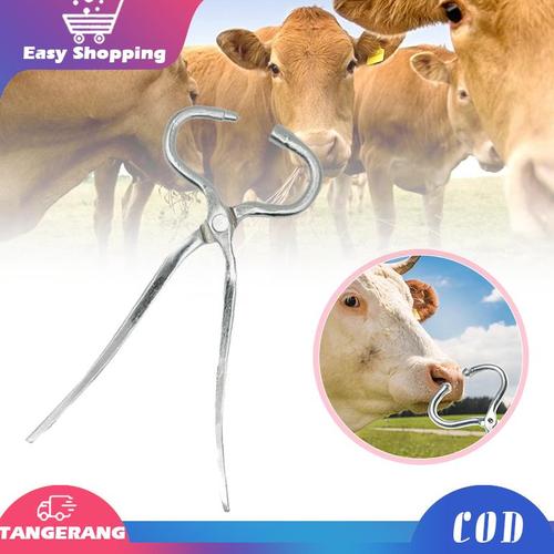 Jual READY Tang Hidung Sapi Kerbau Lembu 35cm Tang Penjepit Hidung Sapi ...
