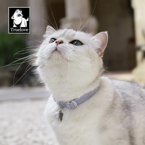 Promo Truelove Elastic Cat Collar | Collar Kucing | Kalung Kucing ...