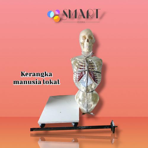 Jual PHANTOM MANEKIN KERANGKA MANUSIA / MANIKIN PERAGA KERANGKA MANUSIA ...