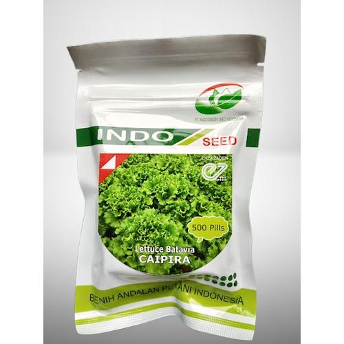 Jual Benih Selada Lettuce Batavia Caipira 500 Pills Indo Seed - Enza ...