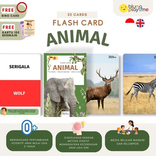 Promo Flash Card - ANIMAL - Media Belajar Edukatif Bayi & Anak - Wipe & Clean - Free Ring ...