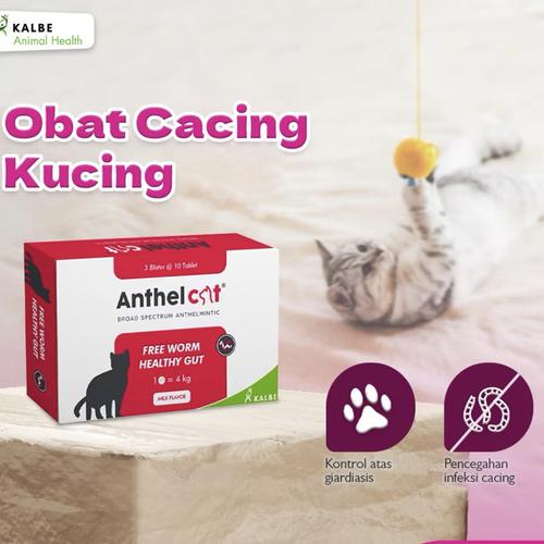 Jual Anthel cat obat cacing kucing kalbe farma obat antel cat 1 tablet ...