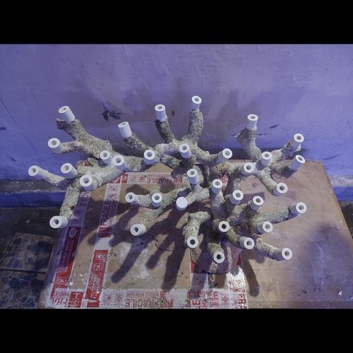 Jual SCAPING BRANCH ROCK FRAG PLUG - Jakarta Timur - bfs frag rock ...