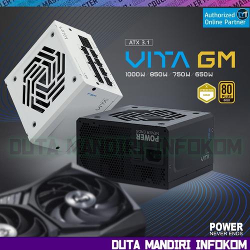 Promo FSP VITA GM 750W 850W 1000W 1200W - 80+ Plus GOLD ATX 3.1 PCIe 5.1 Fully Modular PSU ...