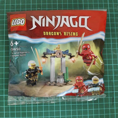 Jual Lego 30650 Ninjago - Kai and Rapton's Temple Battle - Polybag ...