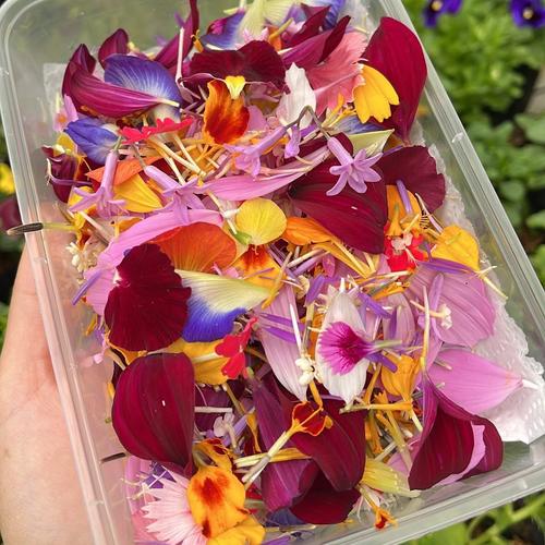 Jual edible flower confetti mix - Kota Bandung - Edibleflower_bymich ...